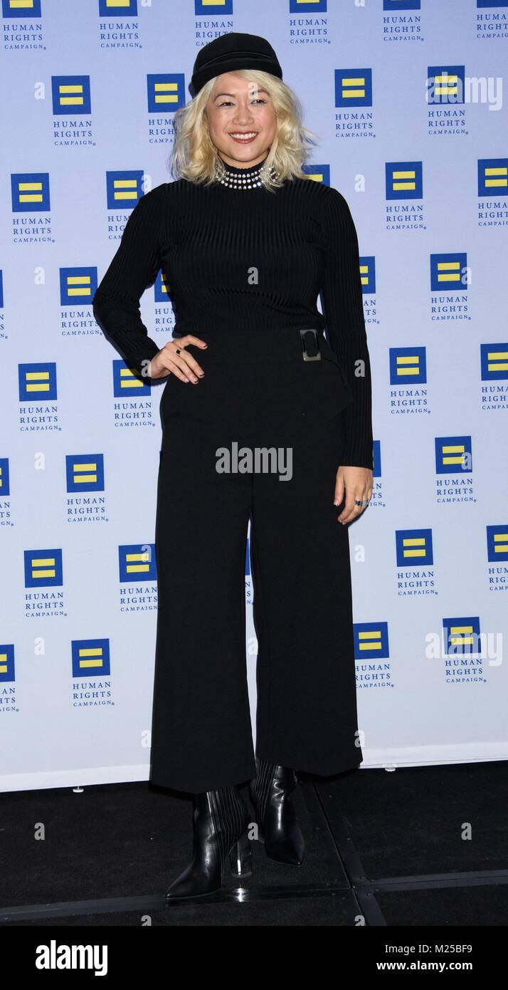 New York, NY, USA. 3rd Feb, 2018. MILCK at arrivals for 17th Annual HRC ...