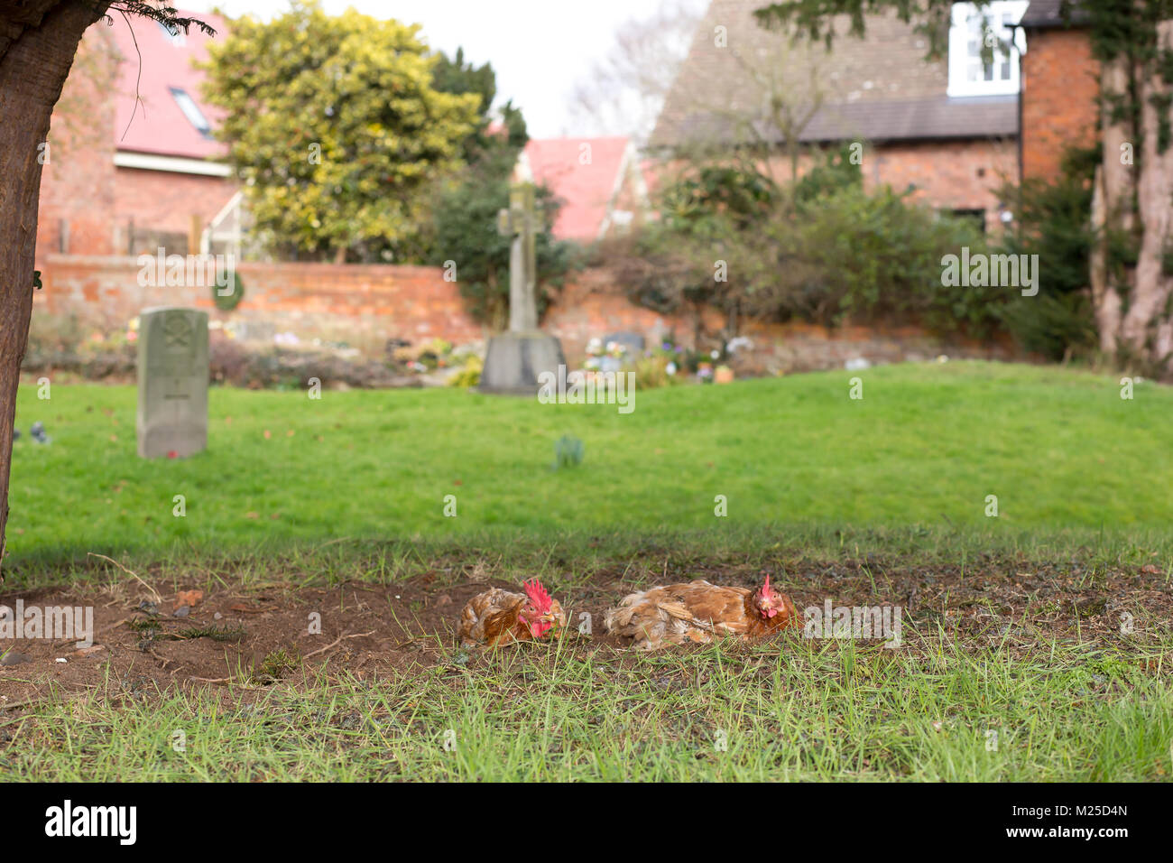 People digging grave hi-res stock photography and images - Alamy