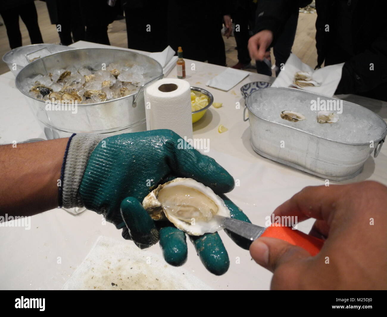 An employee of the 'Billion Oyster Project', which hopes to increase ...