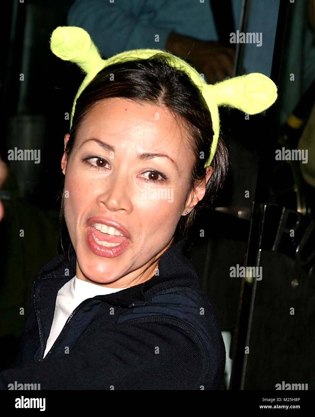 New York City CelebrityArchaeology.com 2004 FILE PHOTO Anne Curry ...