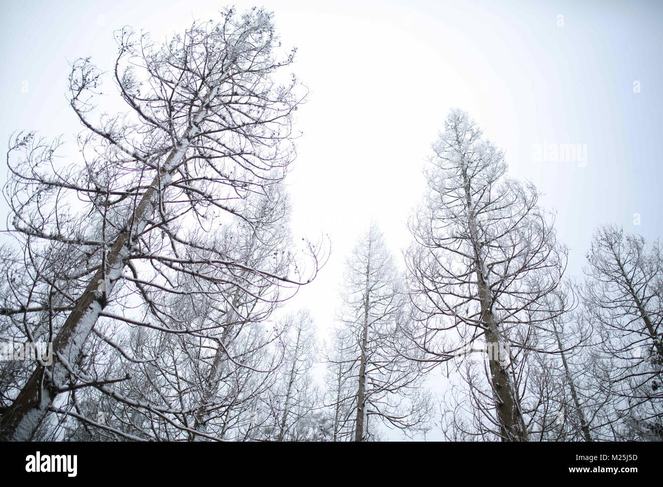 Malan china hi-res stock photography and images - Alamy