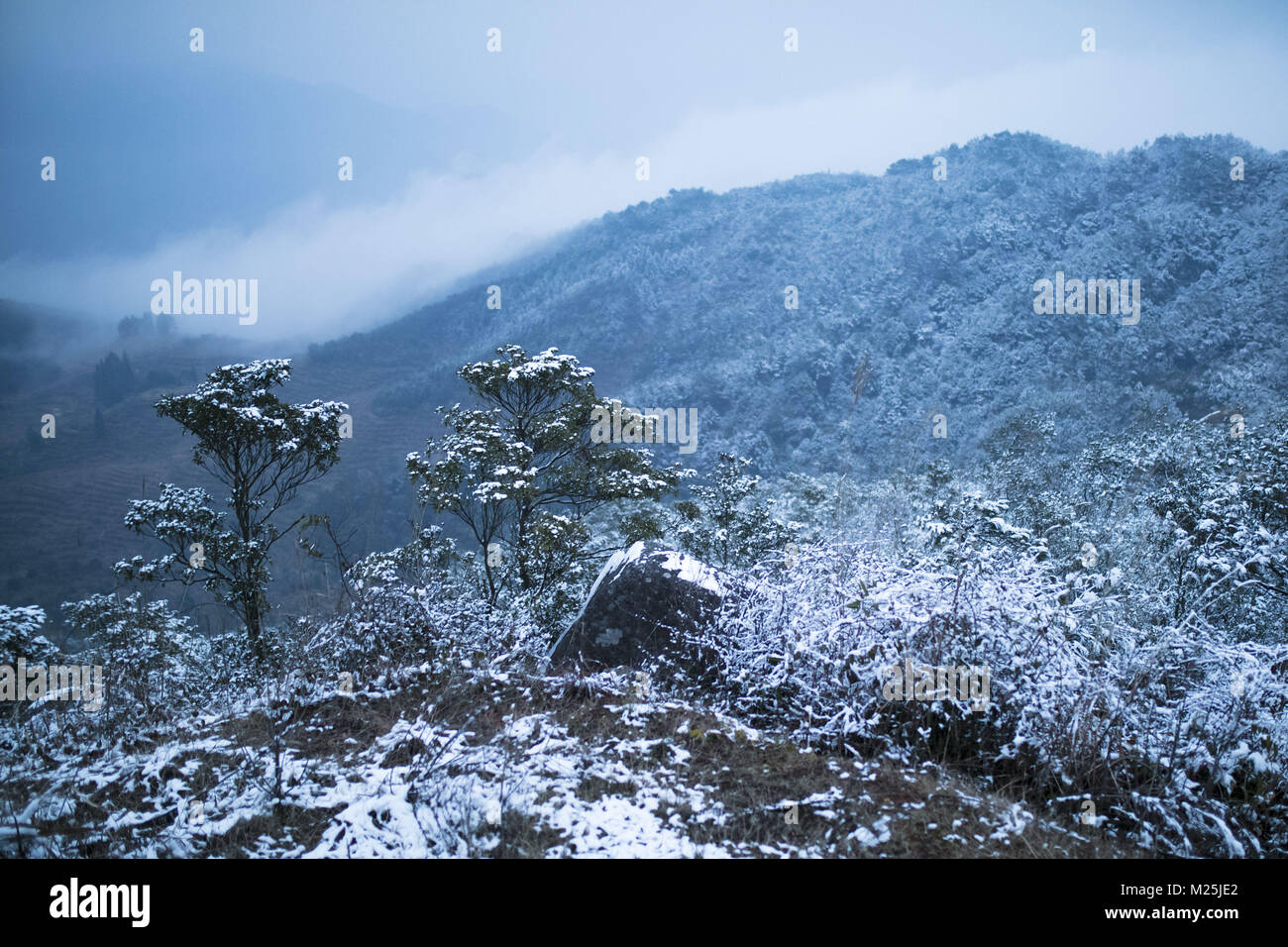 Malan china hi-res stock photography and images - Alamy