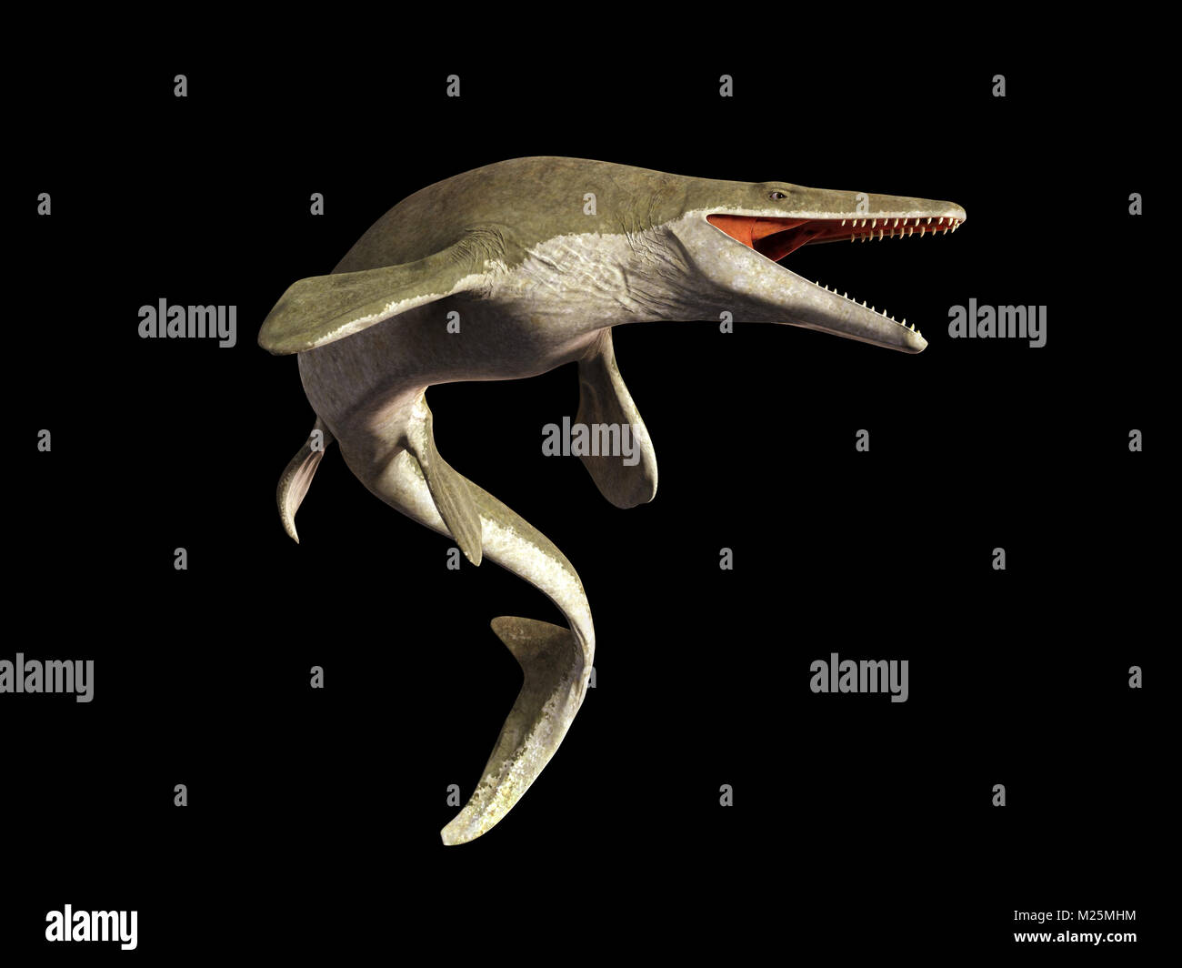 Mosasaurus Size