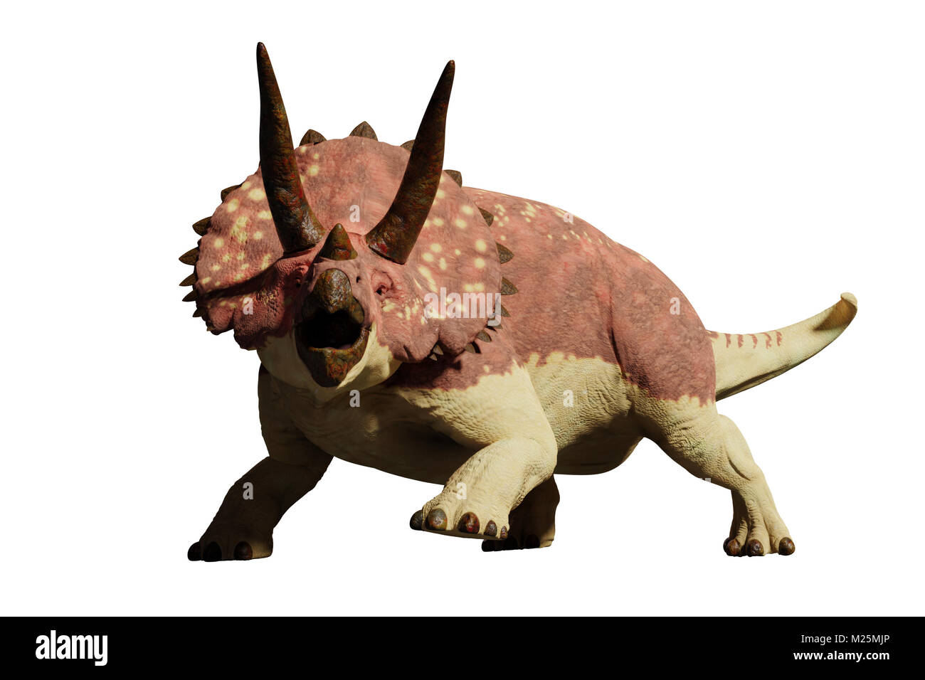 Triceratops dinosaur 3d render hi-res stock photography and images - Alamy