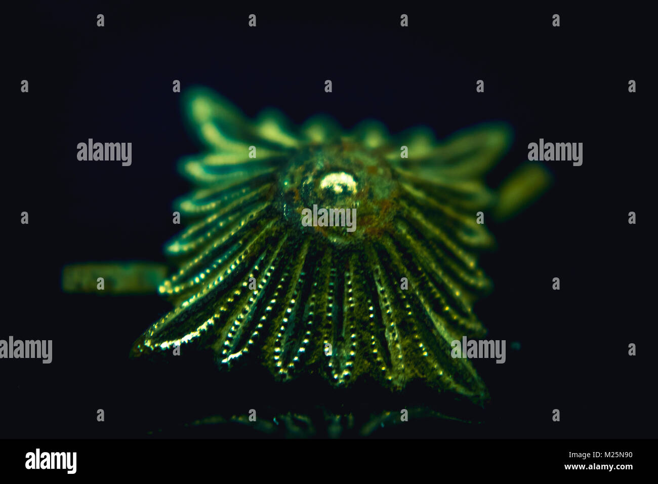 Ww2 relics hi-res stock photography and images - Alamy