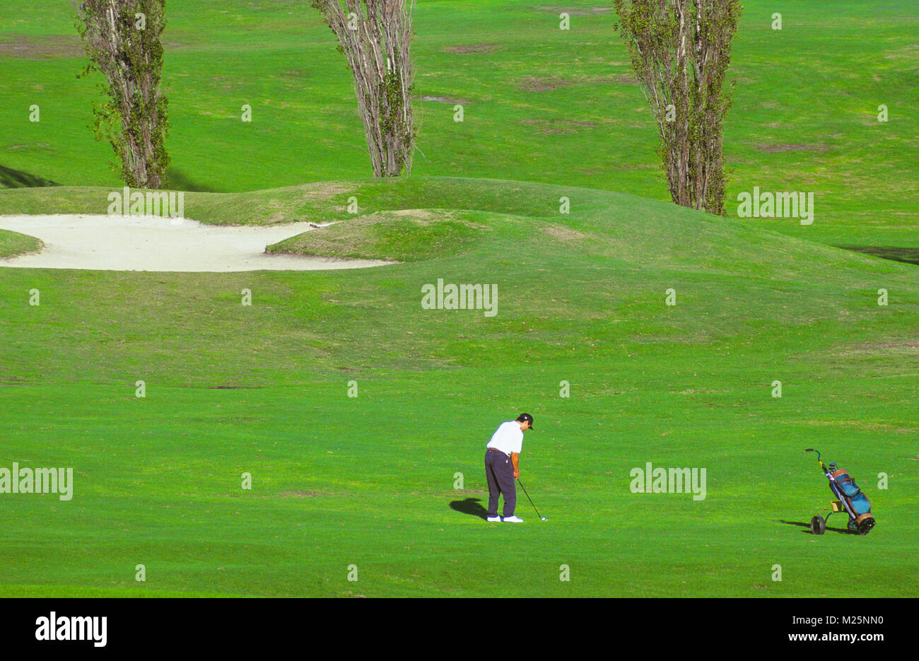 Pictured: a golfer at Moore Park Golf Course in Sydney, Australia Stock ...