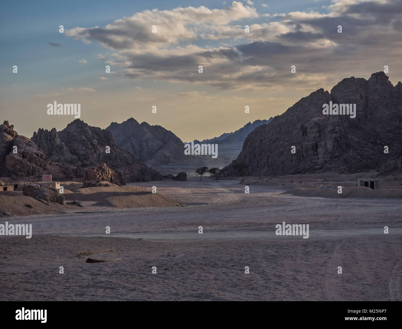 Sinai desert close to sunset, Egypt Stock Photo - Alamy