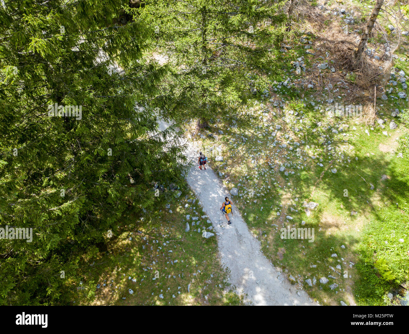 People walking on a trekking path Stock Photo - Alamy