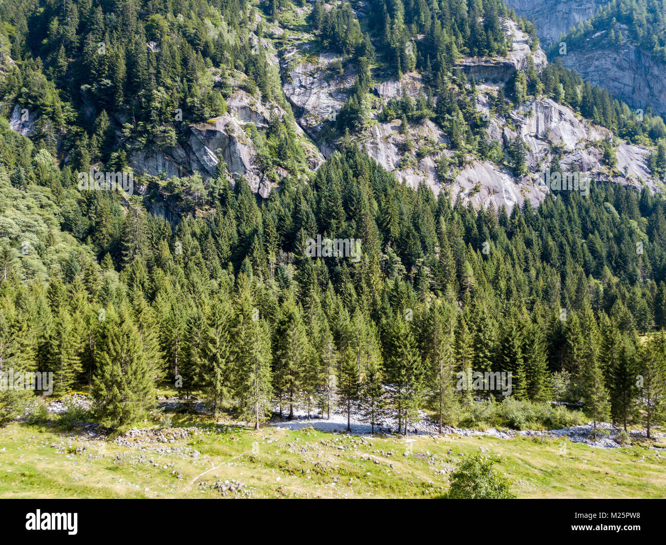 Aerial view of the Mello Valley, Val di Mello, a green valley with ...