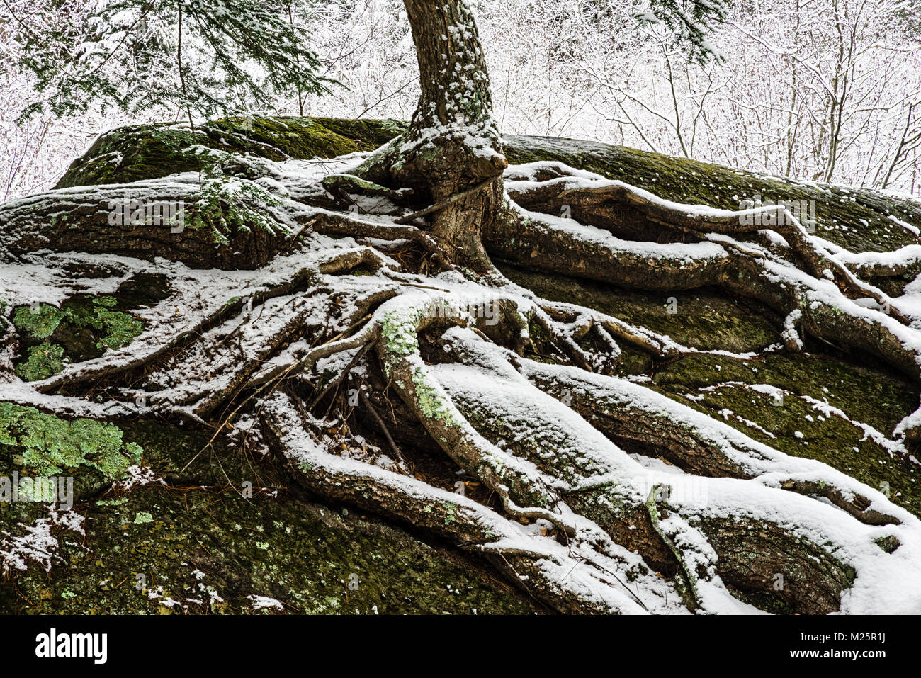 Hogback dam hi-res stock photography and images - Alamy