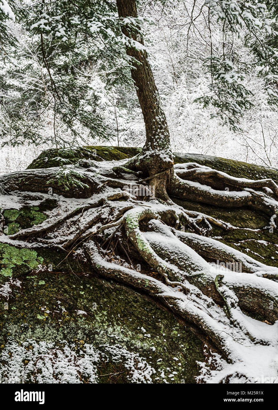 Hogback Dam Hartland, Connecticut, USA Stock Photo - Alamy