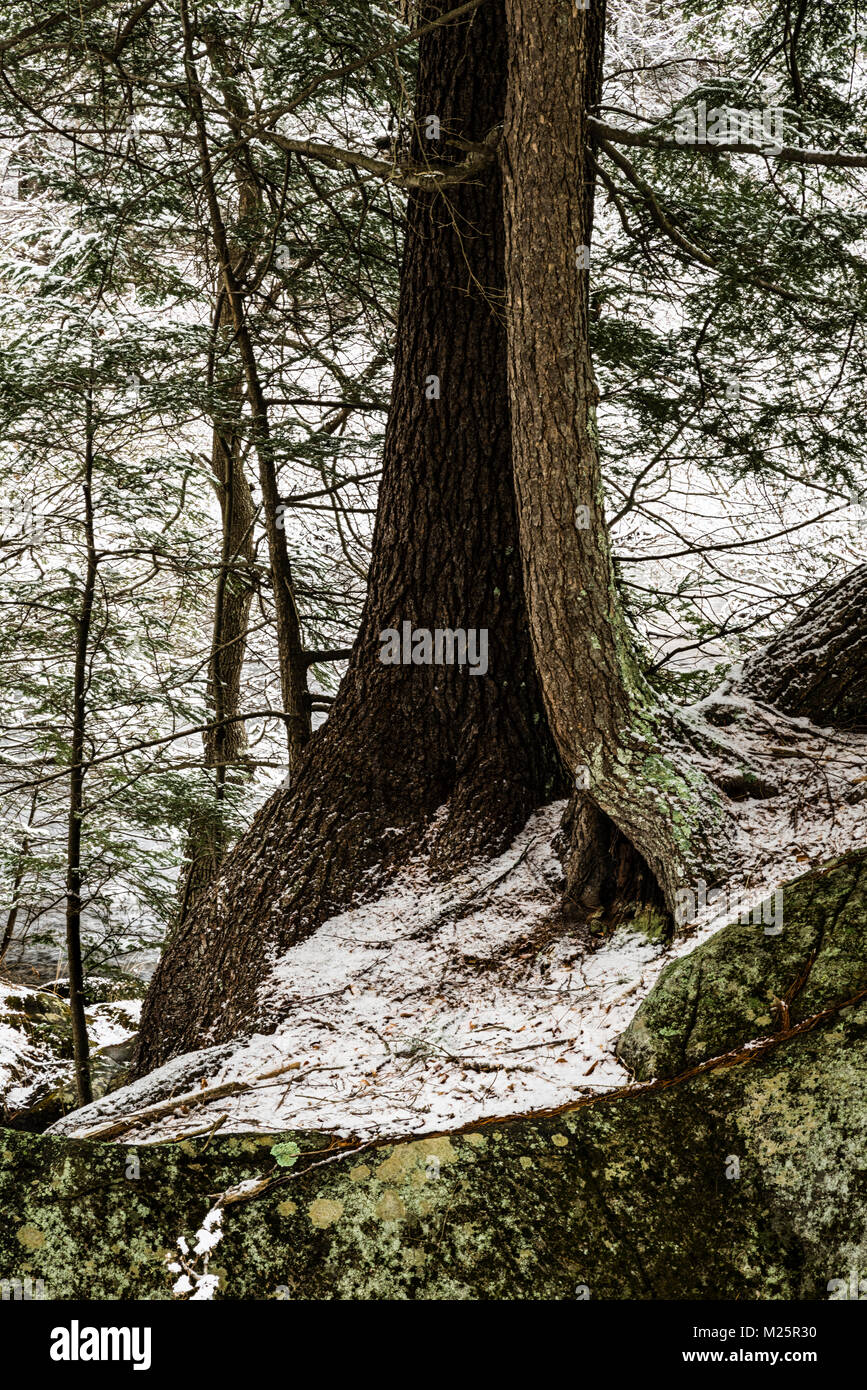 Hogback dam hi-res stock photography and images - Alamy