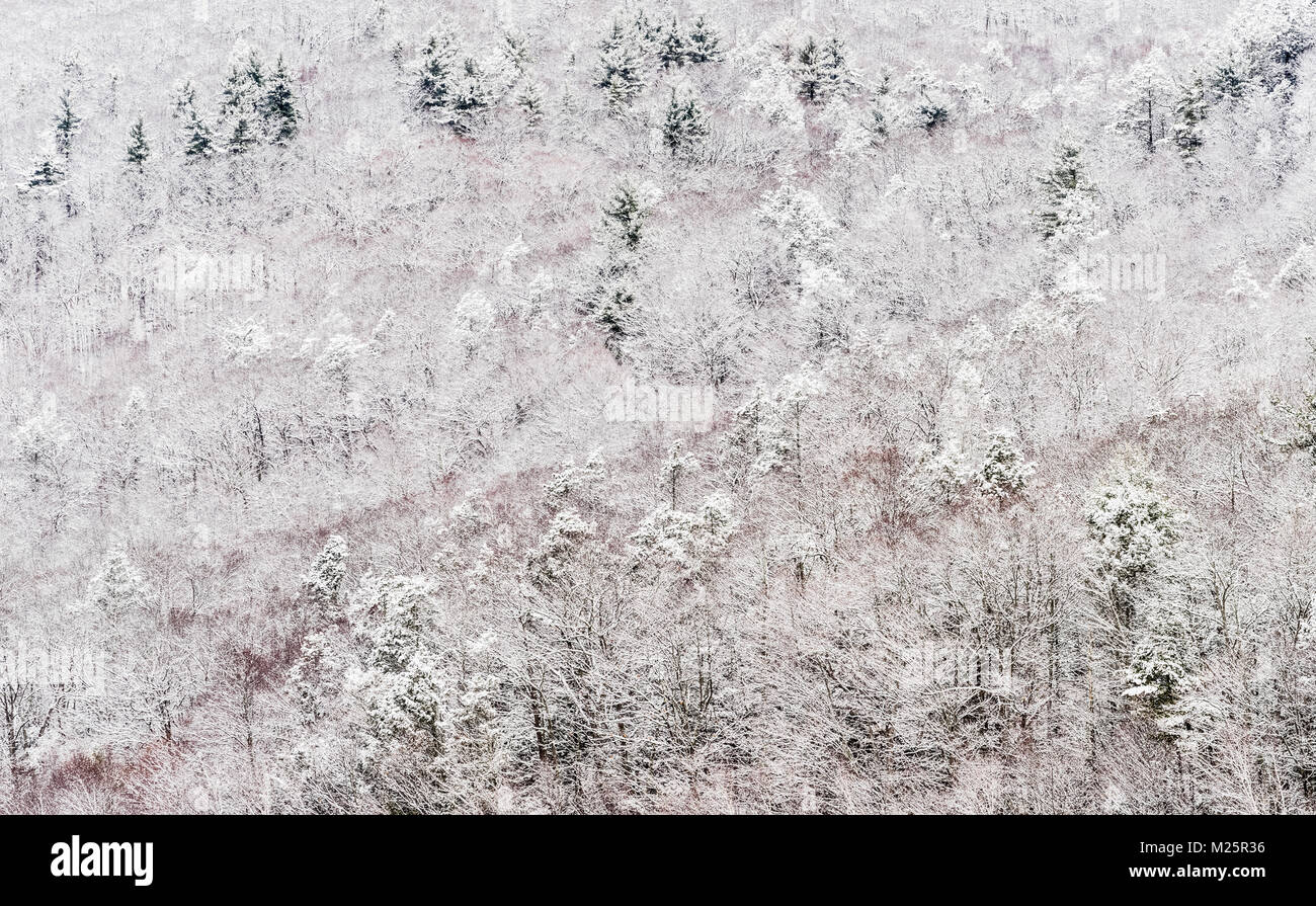 Hogback dam hi-res stock photography and images - Alamy