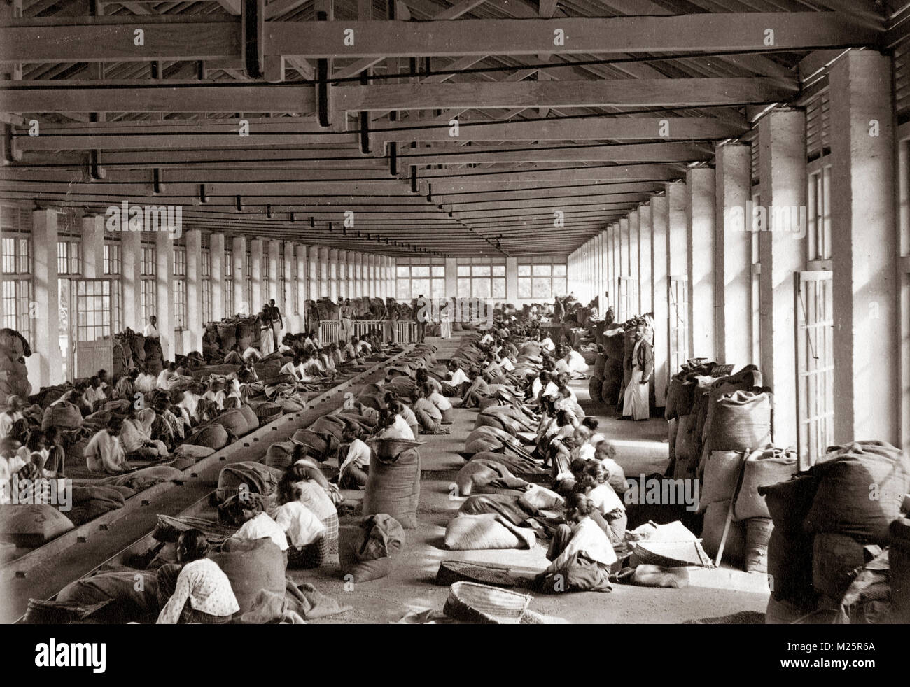 c.1880's - women sorting coffee in a factory, India or Ceylon / Sri ...