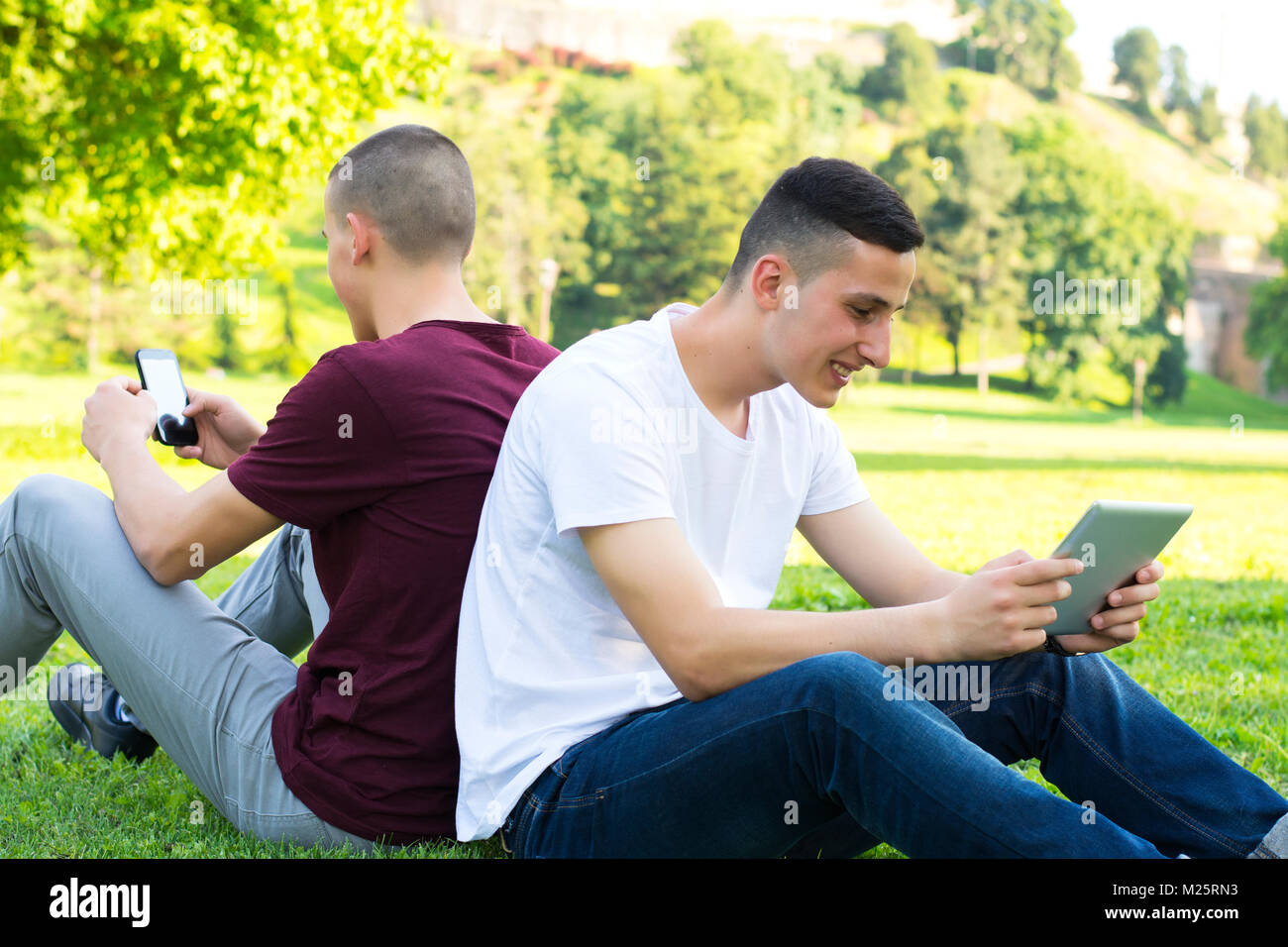 Internet surfing in the park Stock Photo - Alamy