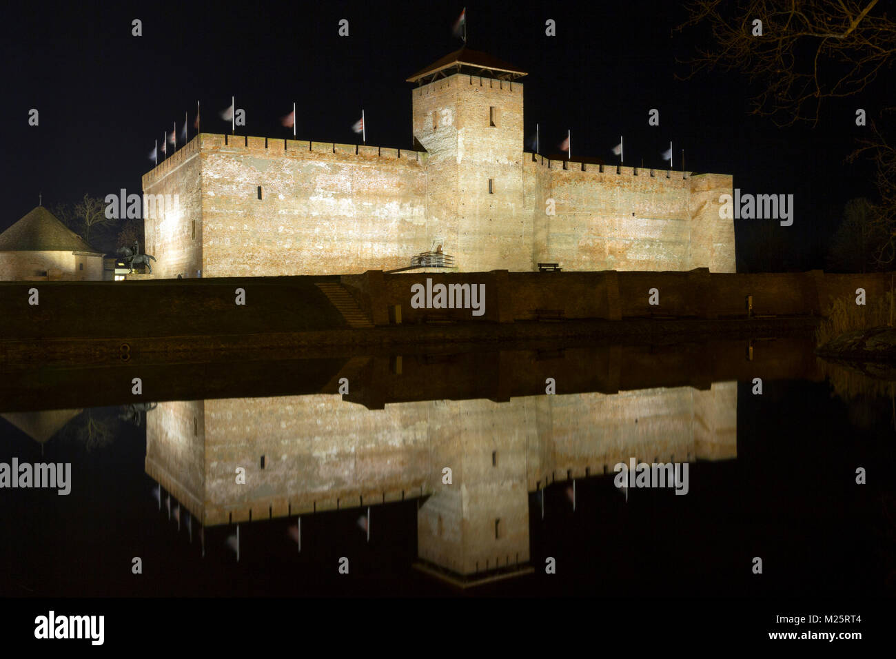 Gyula castle by night in Gyula, Hungary Stock Photo - Alamy