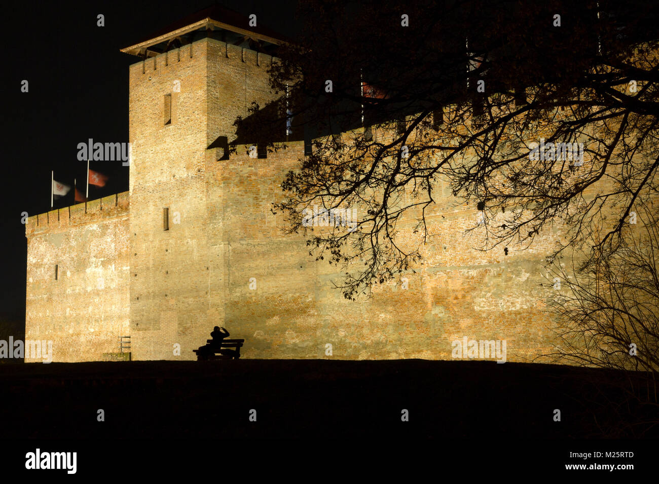 Gyula castle by night in Gyula, Hungary Stock Photo - Alamy
