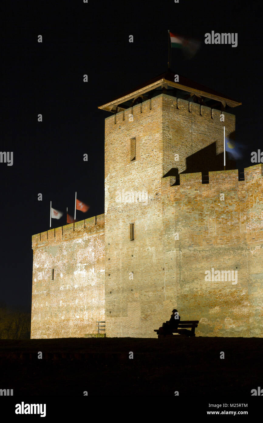 Gyula castle by night in Gyula, Hungary Stock Photo - Alamy
