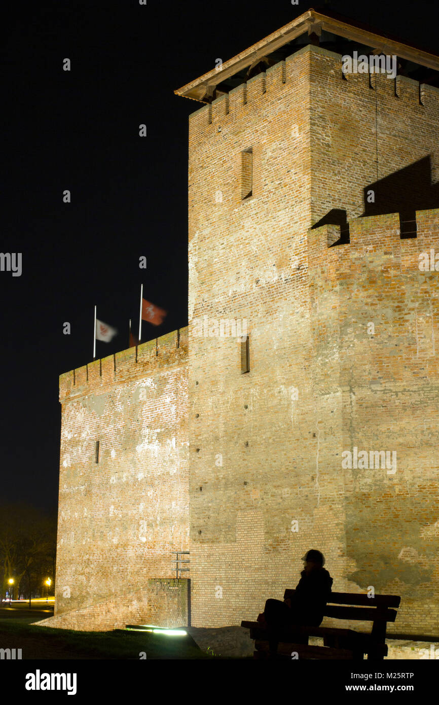 Gyula castle by night in Gyula, Hungary Stock Photo - Alamy