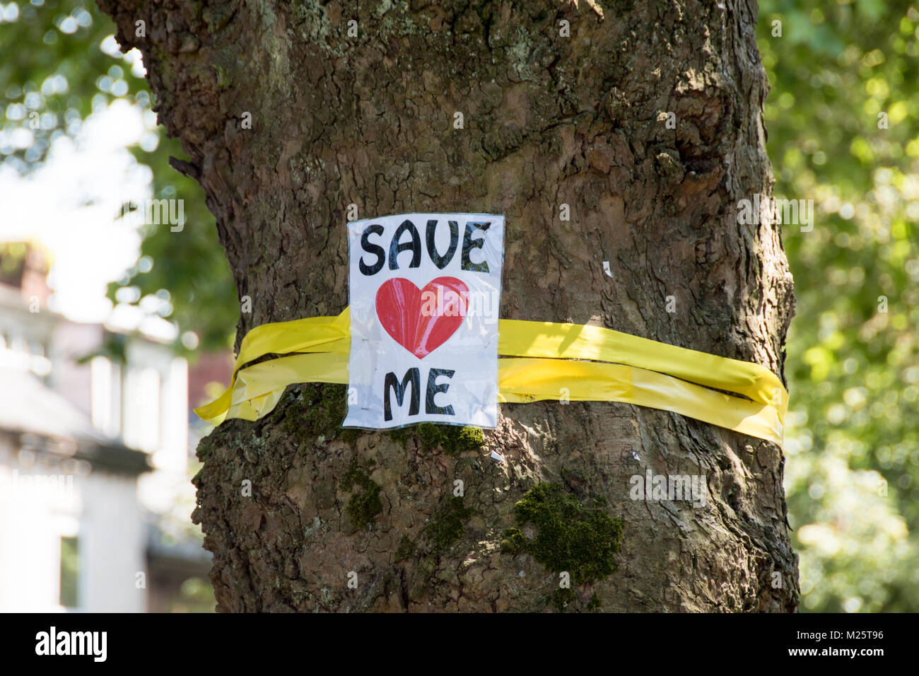 Save tree hi-res stock photography and images - Alamy