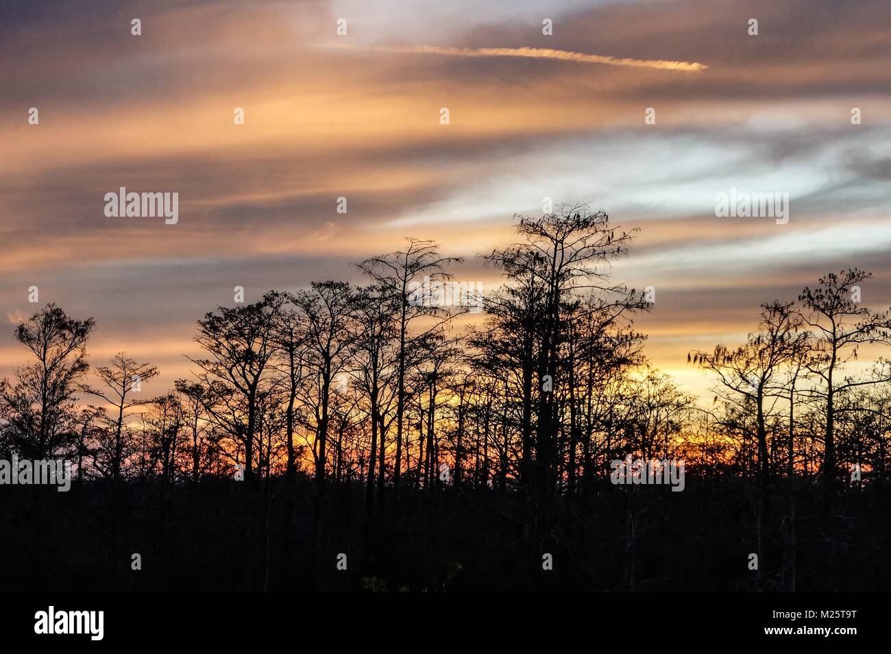Louisiana bayou sunset hi-res stock photography and images - Alamy