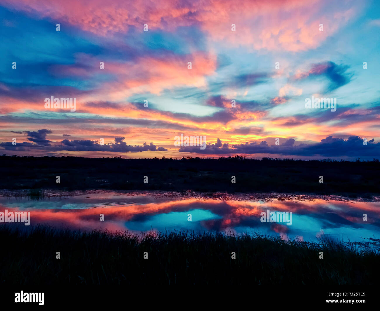 Louisiana bayou sunset hi-res stock photography and images - Alamy