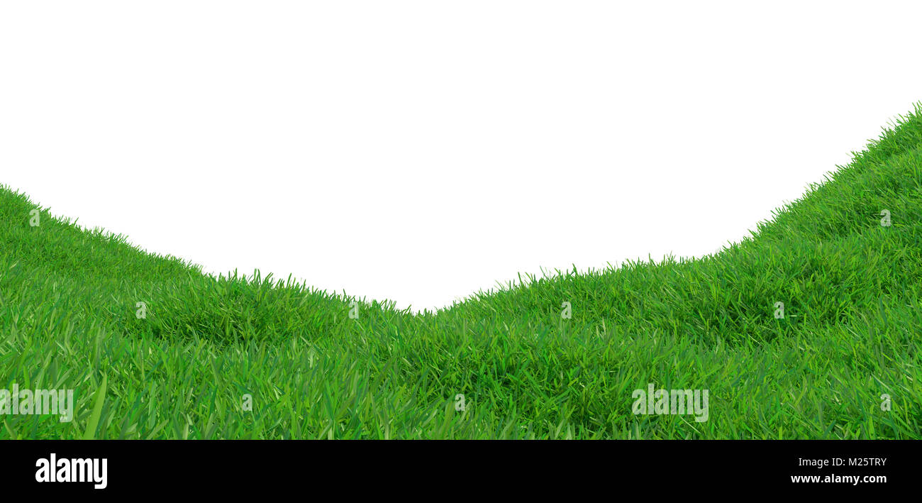 Green meadow in mountain. Composition of nature. 3d rendering Stock ...