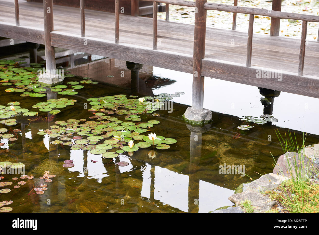 Shirotori - traditional Japanese garden in Nagoya Stock Photo - Alamy