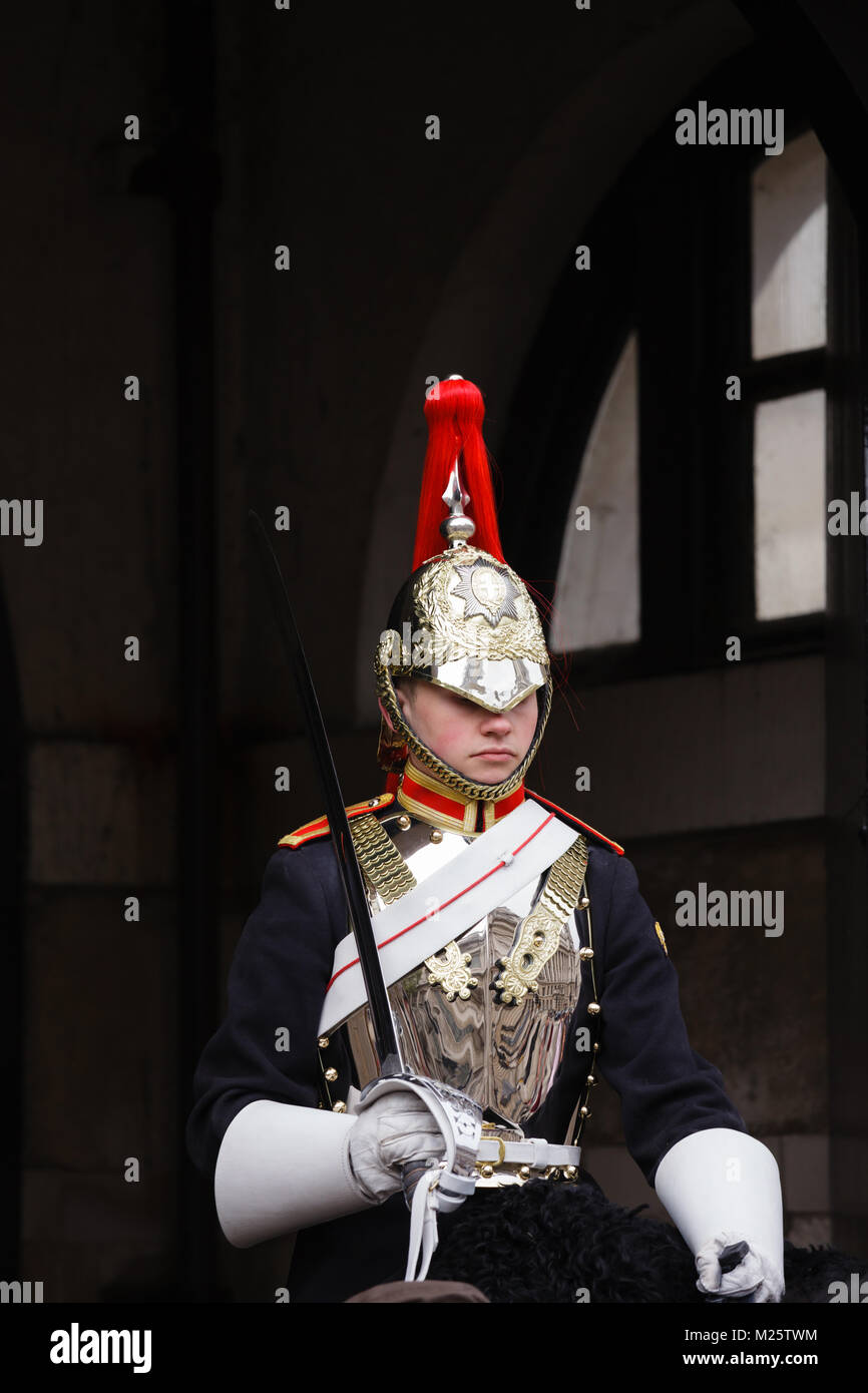 Ceremonial uniform of the household cavalry hi-res stock photography and images - Alamy