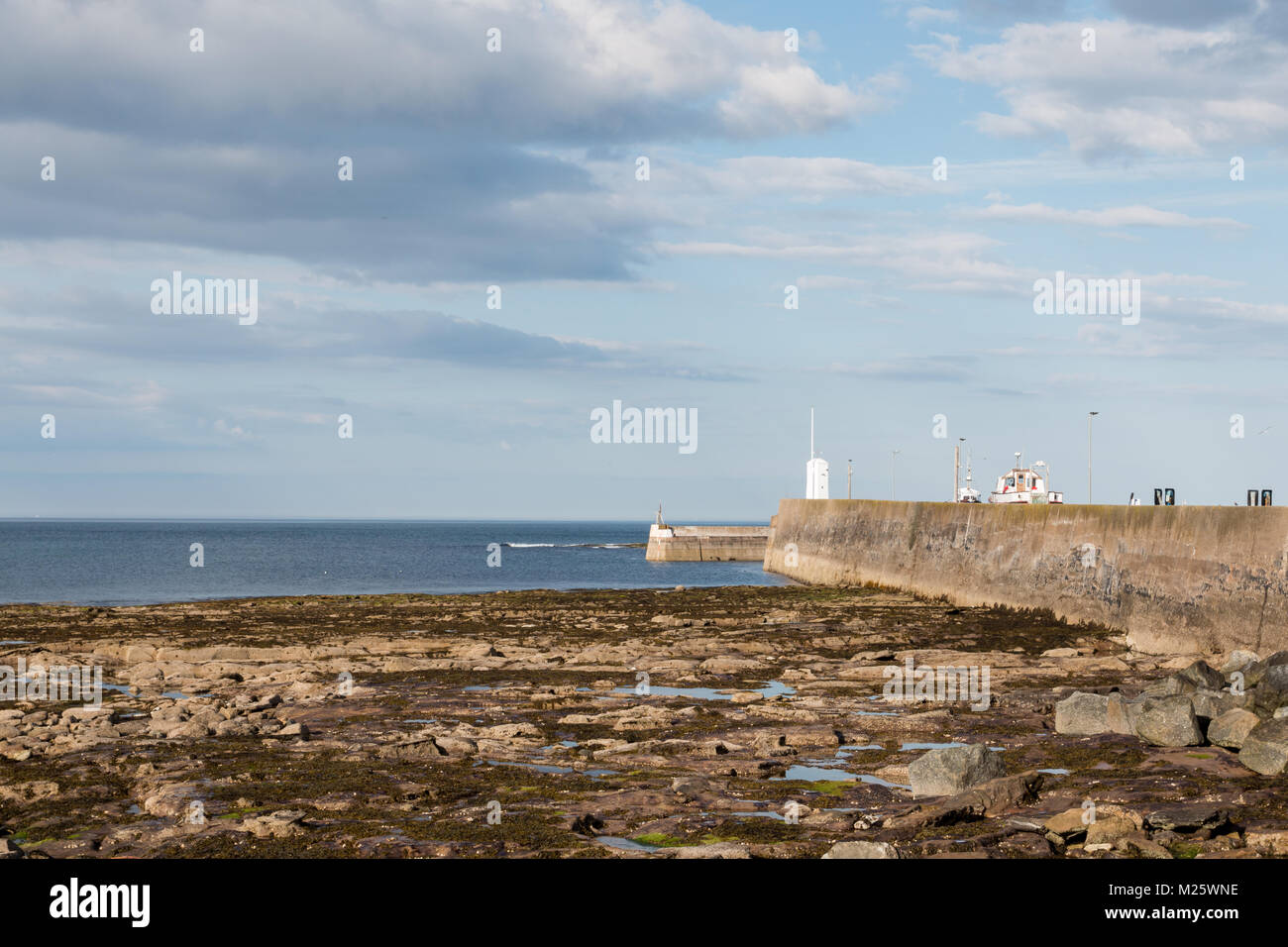 Blue sky blue sea seaweed and rocks at seahouses hi-res stock ...