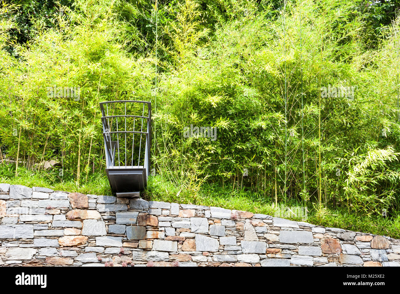 forest of bamboo canes and stone wall, outdoor Stock Photo - Alamy
