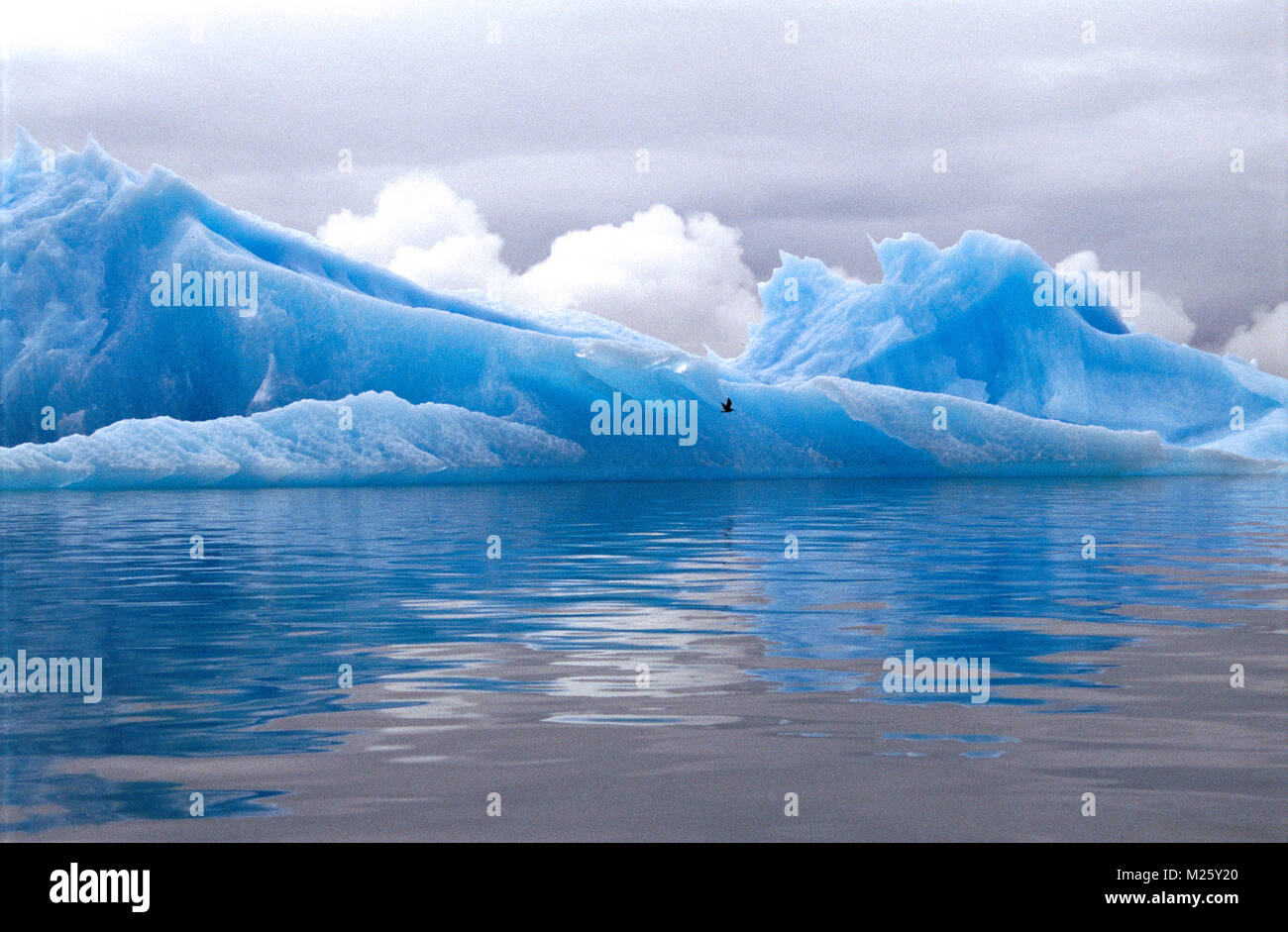 Iceberg in San Rafael lagoon,Chile Stock Photo - Alamy