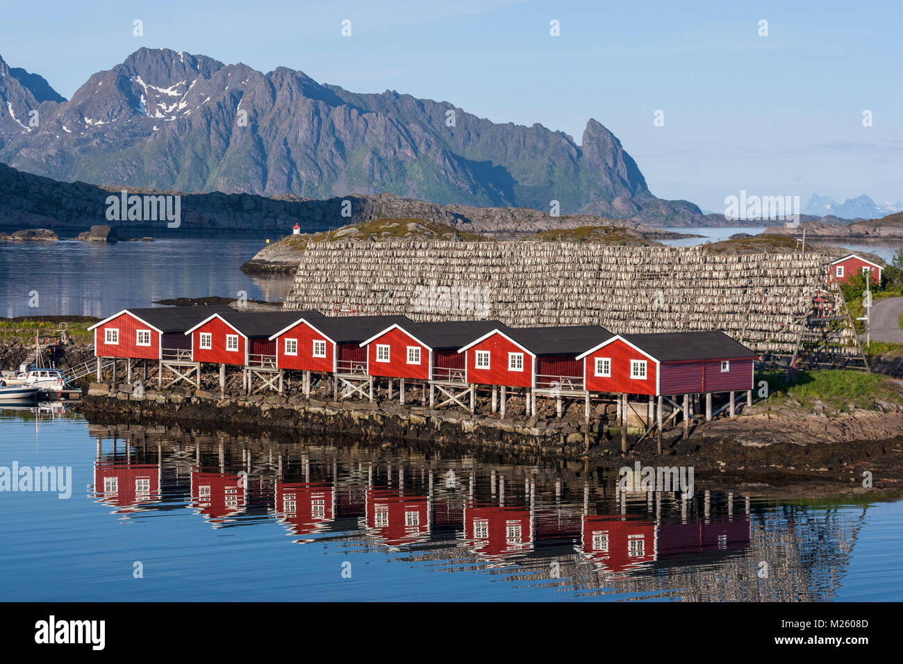 Red wooden Rorbu Cabins and Atlantic cod, Gadus morhua, drying as ...