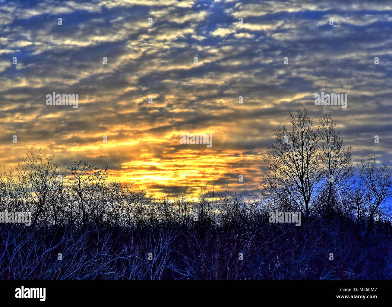 Sunrise over trees hi-res stock photography and images - Alamy