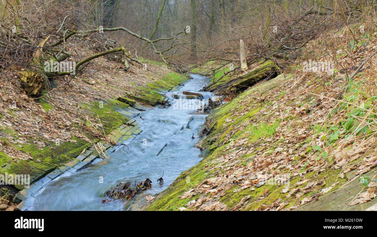 River in the leaves and moss name of river Lodka, Lodz Poland Stock ...
