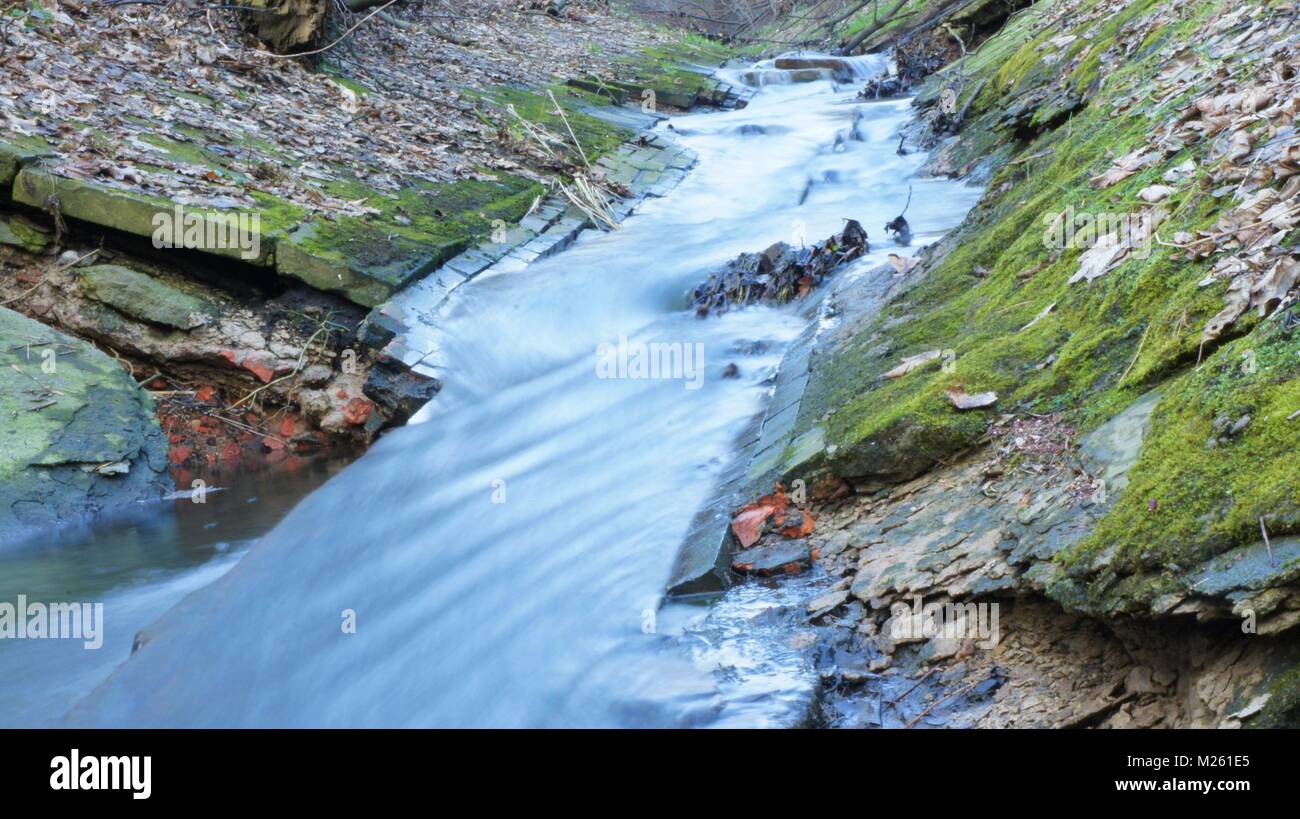 River in the leaves and moss name of river Lodka, Lodz Poland Stock ...