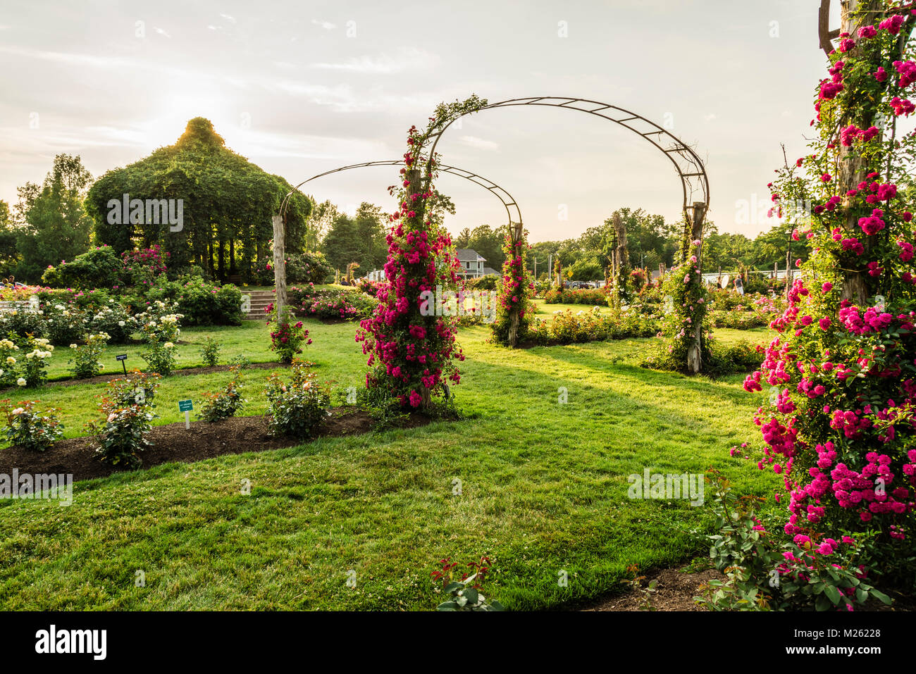 Elizabeth Park Hartford, Connecticut, USA Stock Photo - Alamy