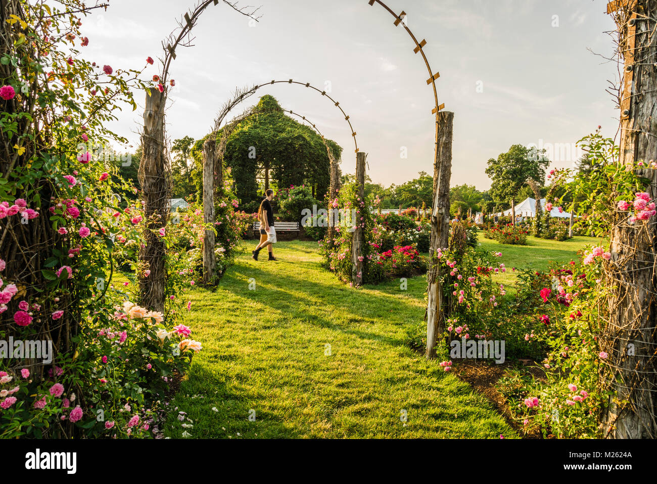 Elizabeth pond memorial hi-res stock photography and images - Alamy