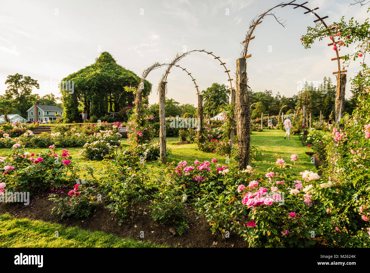 Elizabeth pond memorial hi-res stock photography and images - Alamy