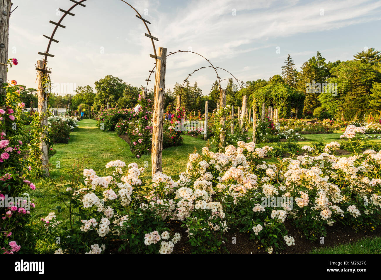 Elizabeth Park Hartford, Connecticut, USA Stock Photo - Alamy