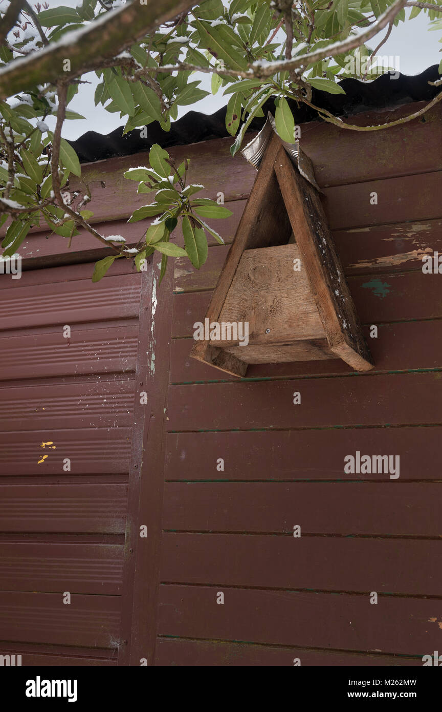 Triangular shaped recycled wood open fronted bird box for Robin bird ...