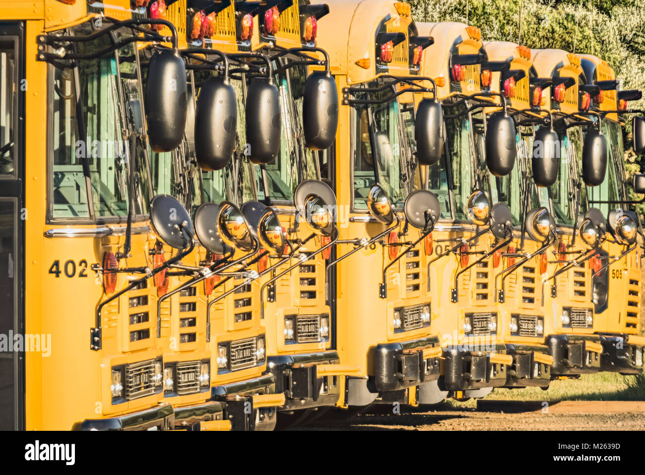 School Busses Enfield, Connecticut, USA Stock Photo - Alamy