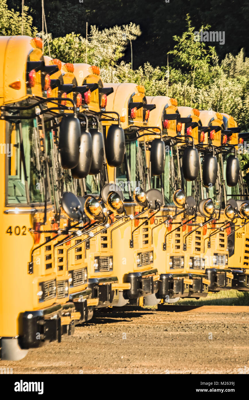 School Busses Enfield, Connecticut, USA Stock Photo - Alamy
