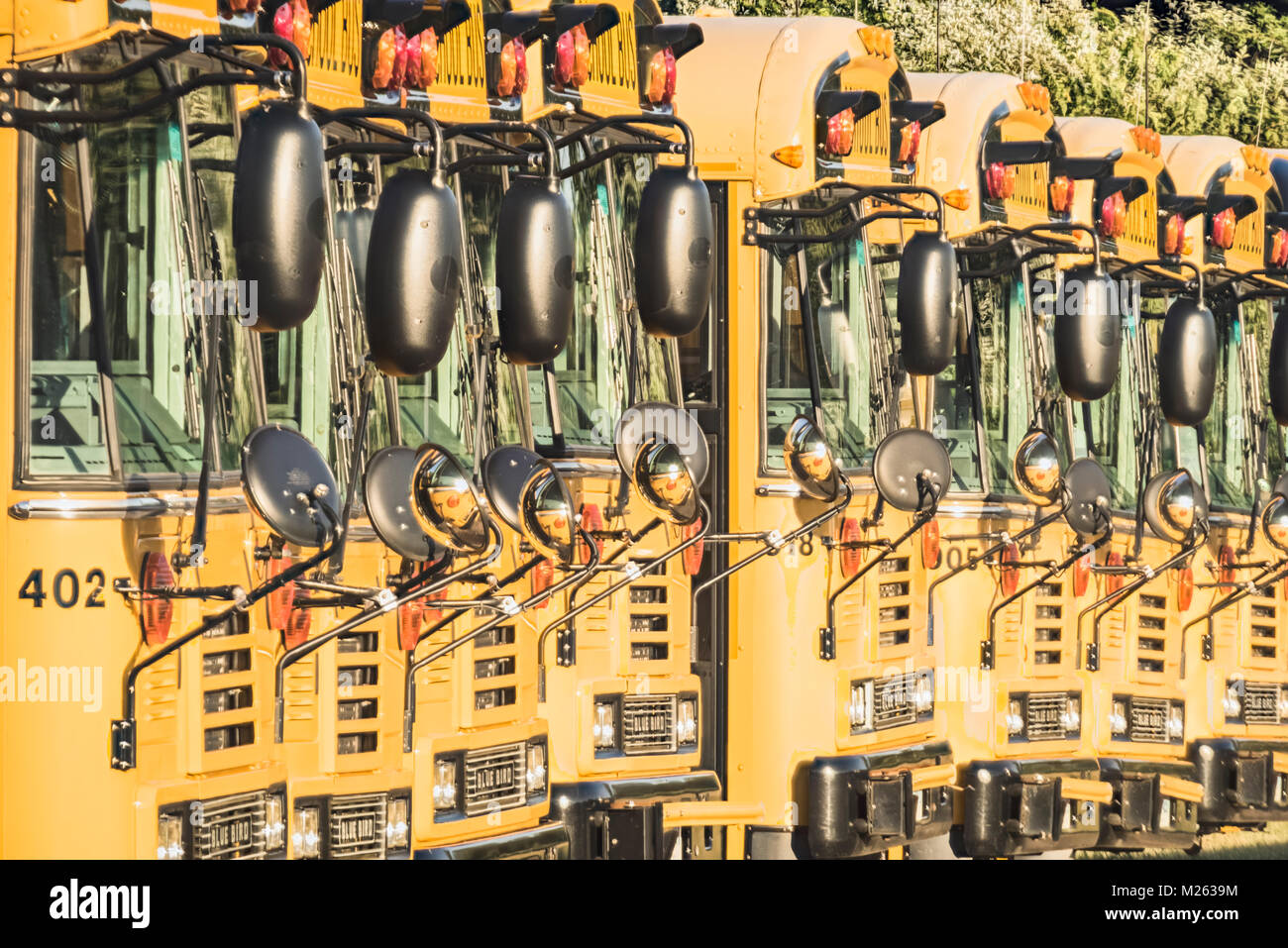 School Busses Enfield, Connecticut, USA Stock Photo - Alamy
