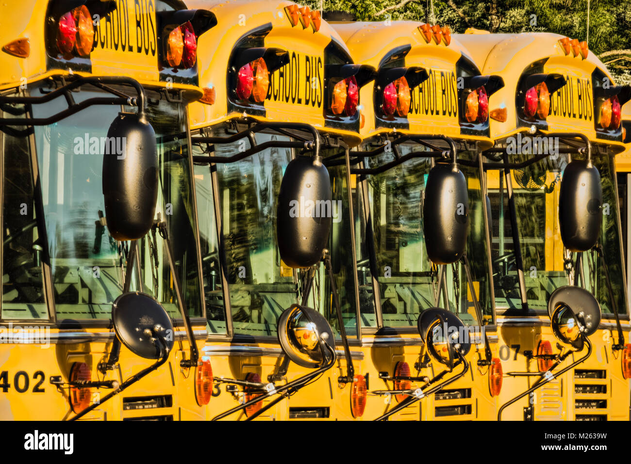 School Busses Enfield, Connecticut, USA Stock Photo - Alamy