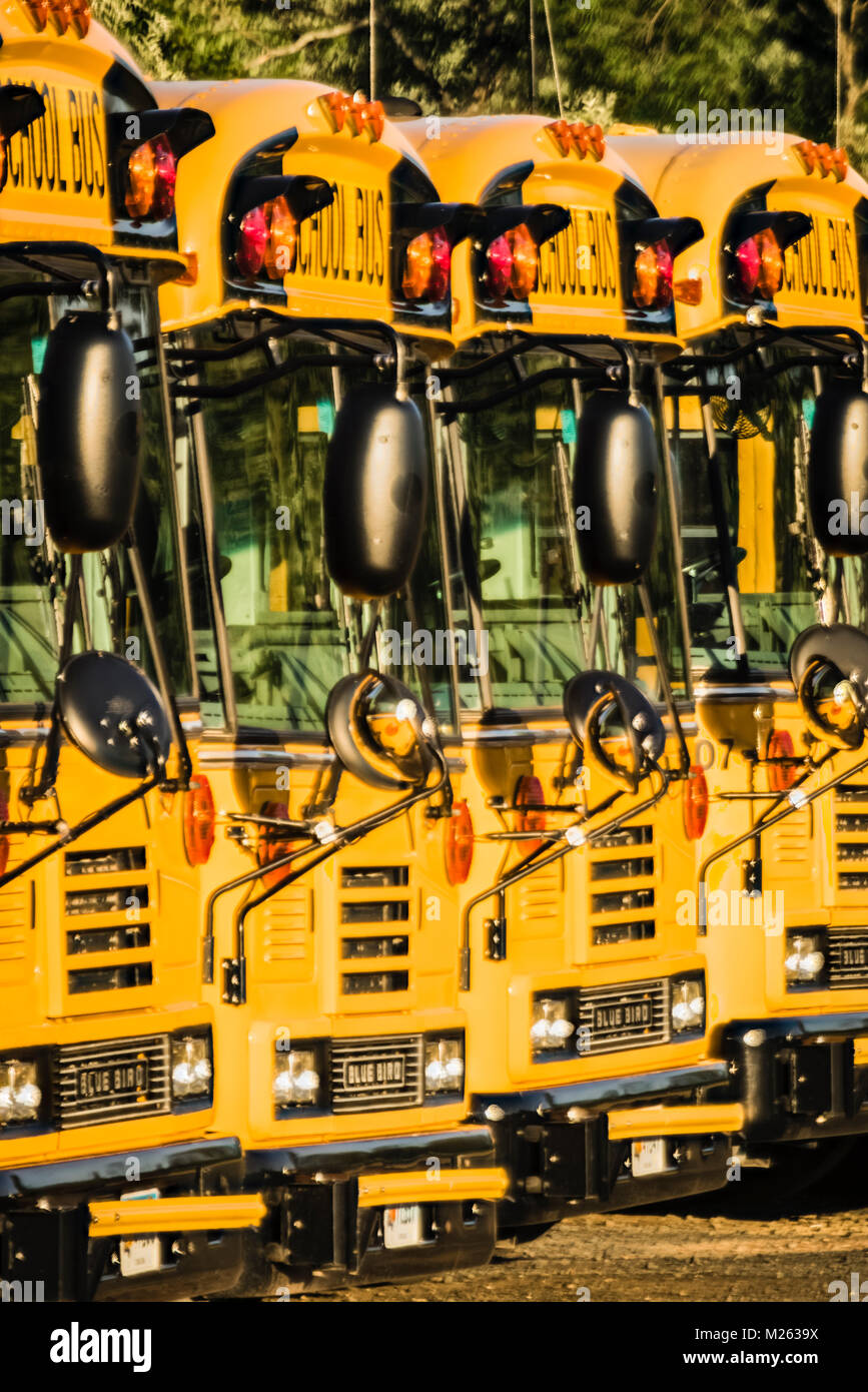 School Busses Enfield, Connecticut, USA Stock Photo - Alamy