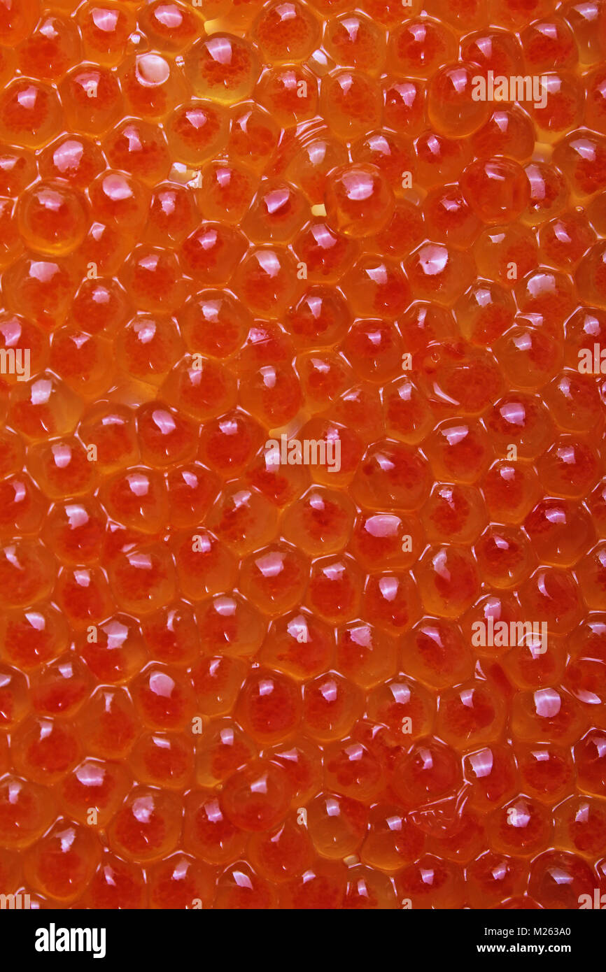 Red caviar studio photo. Caviar texture pattern background food closeup ...