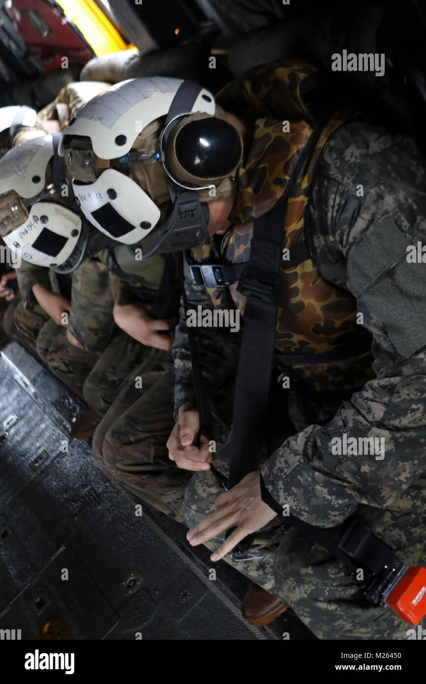 Soldiers with the 95th Engineer Company (Clearance), 130th Engineer ...