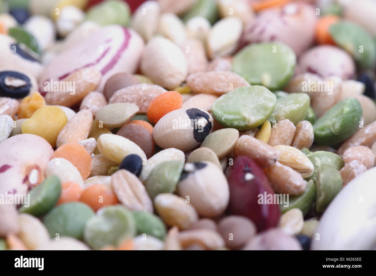 mix of legumes Stock Photo - Alamy
