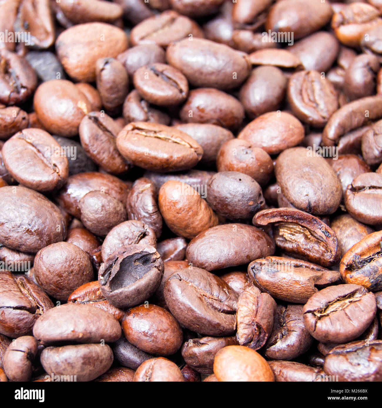 close up of roasted coffee beans with white background with space for ...